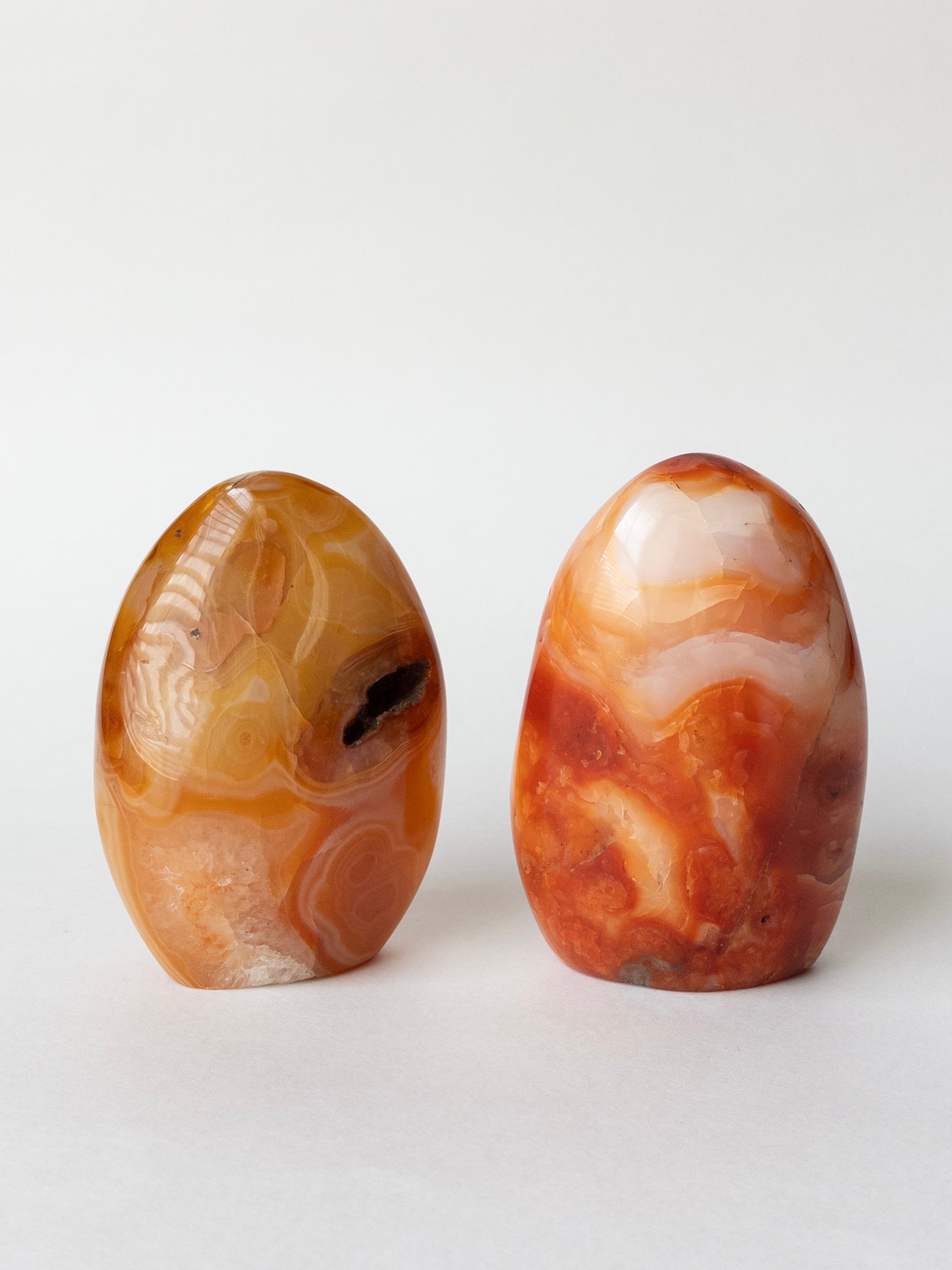 Carnelian Free Forms – Sorella